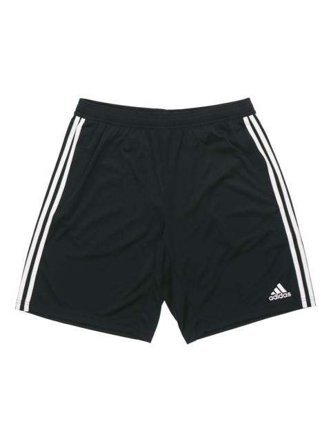 adidas adidas Tiro 19 Training Shorts Knit Sports Running Casual Black ...