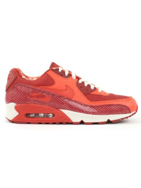 Nike Nike Air Max 90 Steve Nash | REVERSIBLE